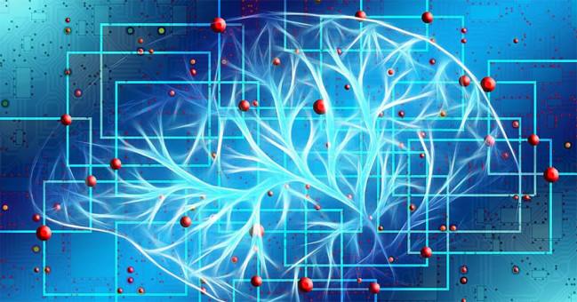 L’intelligent design esiste e non ha bisogno di divinità - A ragion veduta