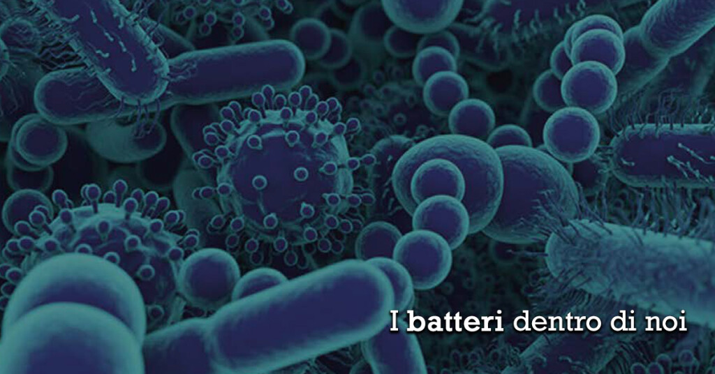 I batteri dentro di noi - A ragion veduta